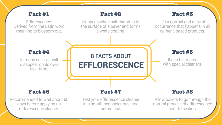 8 Facts About Efflorescence